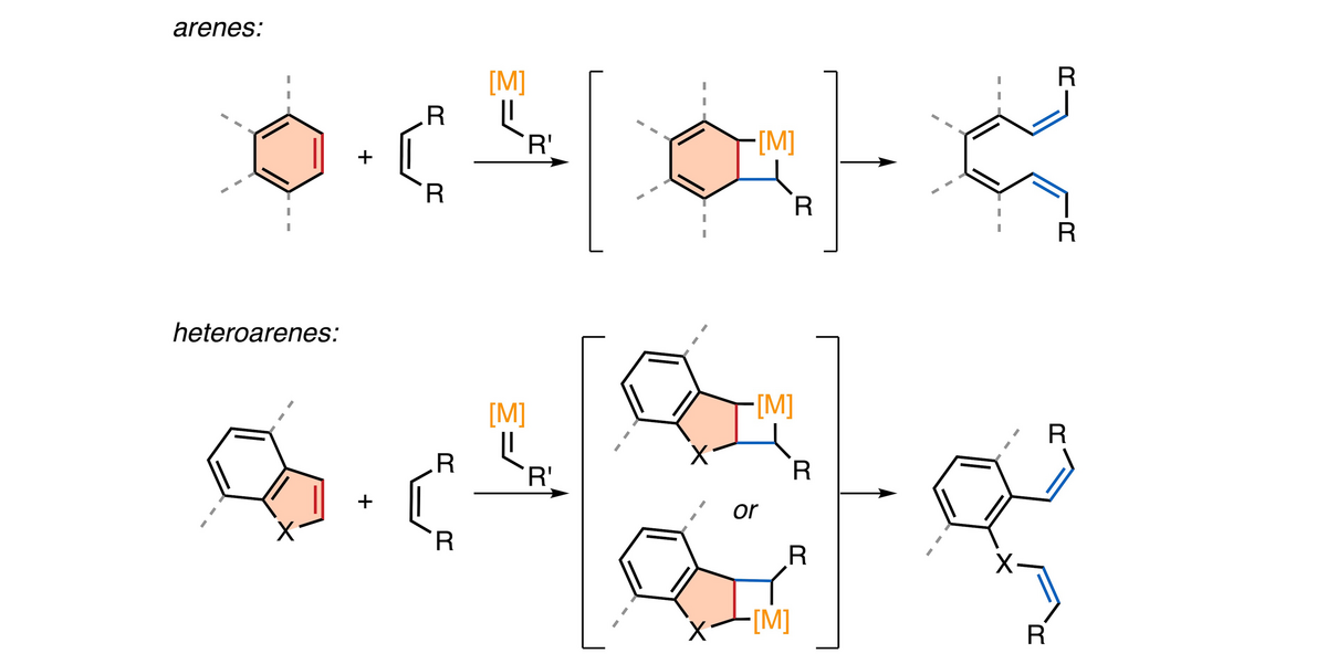 Aromatic Ring-Opening Metathesis | Departement Chemie | Universität Basel